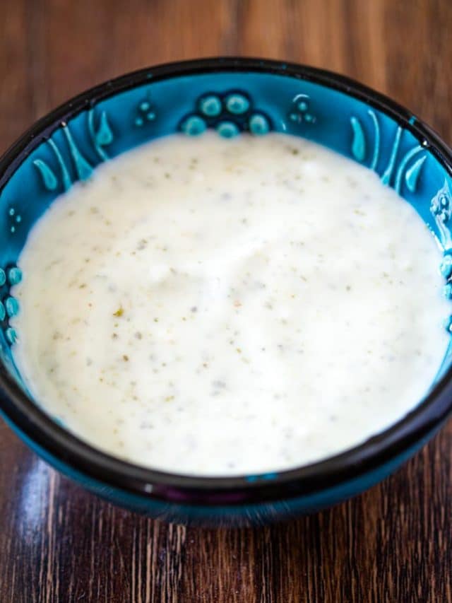 CORIANDER AND MINT RAITA RECIPE STORY - I Knead to Eat